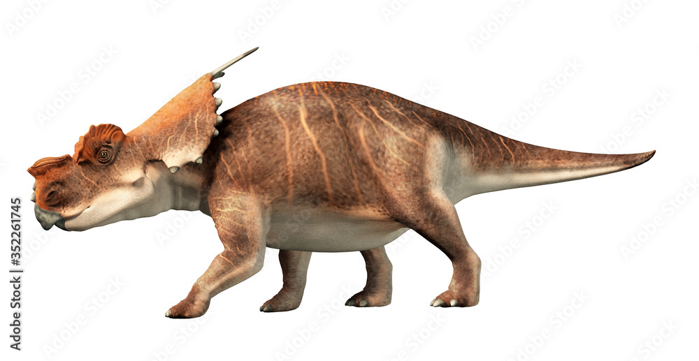 Stockillustratie Achelousaurus was a Cretaceous era dinosaur. A cousin ...