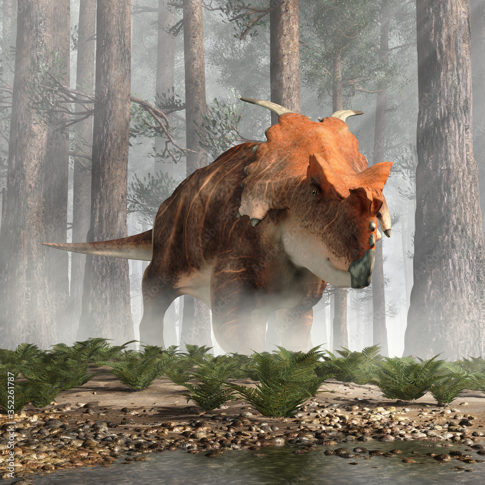 Achelousaurus was a Cretaceous era dinosaur. A cousin of triceratops ...