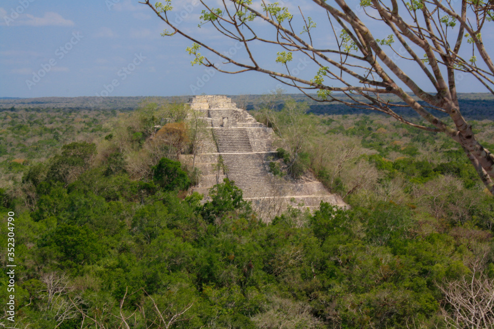 Calakmul, Petén, Calakmul Biosphere Reserve, Campeche, Mexico April 15 ...