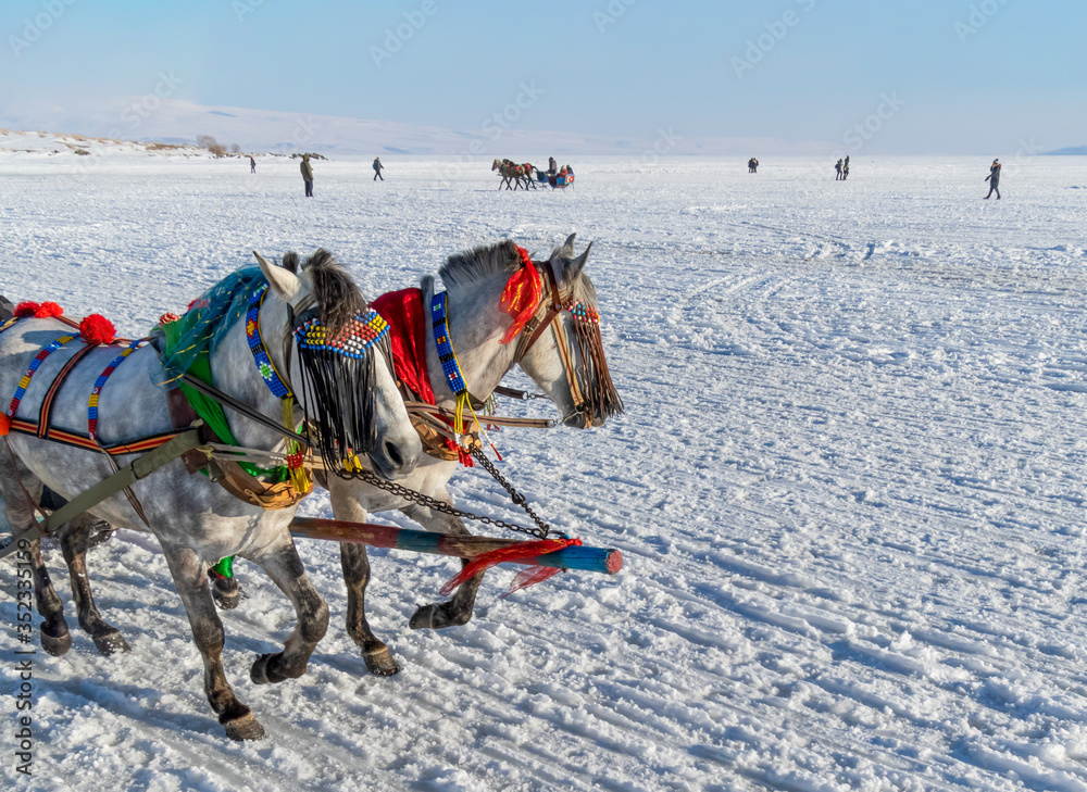 Kars Turkey Snow
