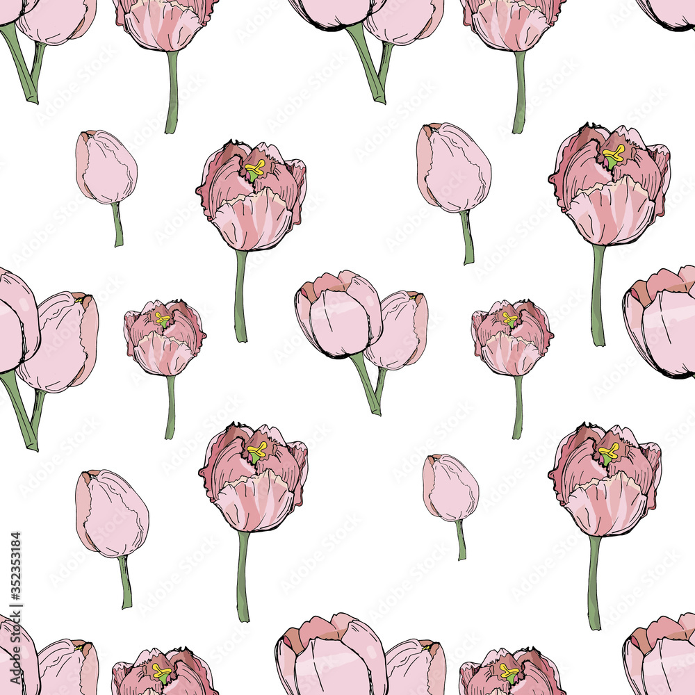 seamless background of Tulip flowers on white background, isolated ...