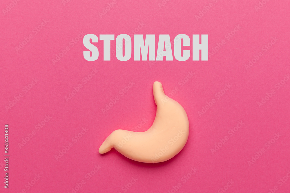 Human stomach on a pink background. Treatment of pain and inflammation ...