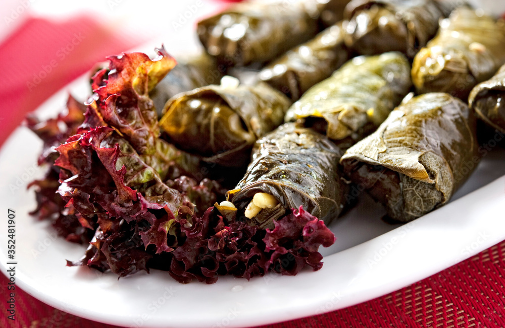 Delicious stuffed grape leaves (the traditional dolma of the ...