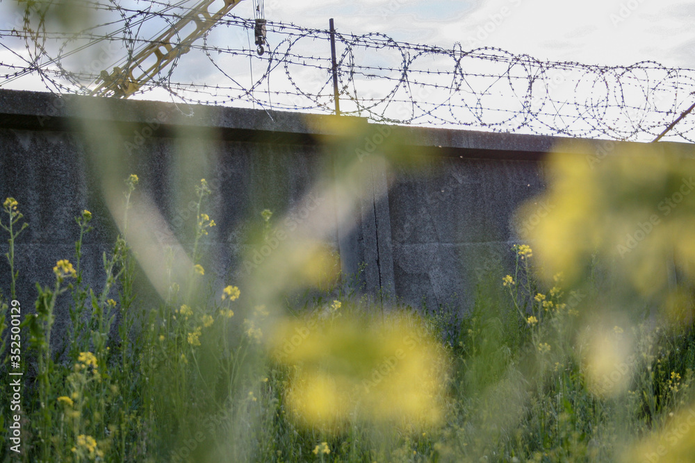 barbed wire on a concrete fence around the prison with foreground of ...