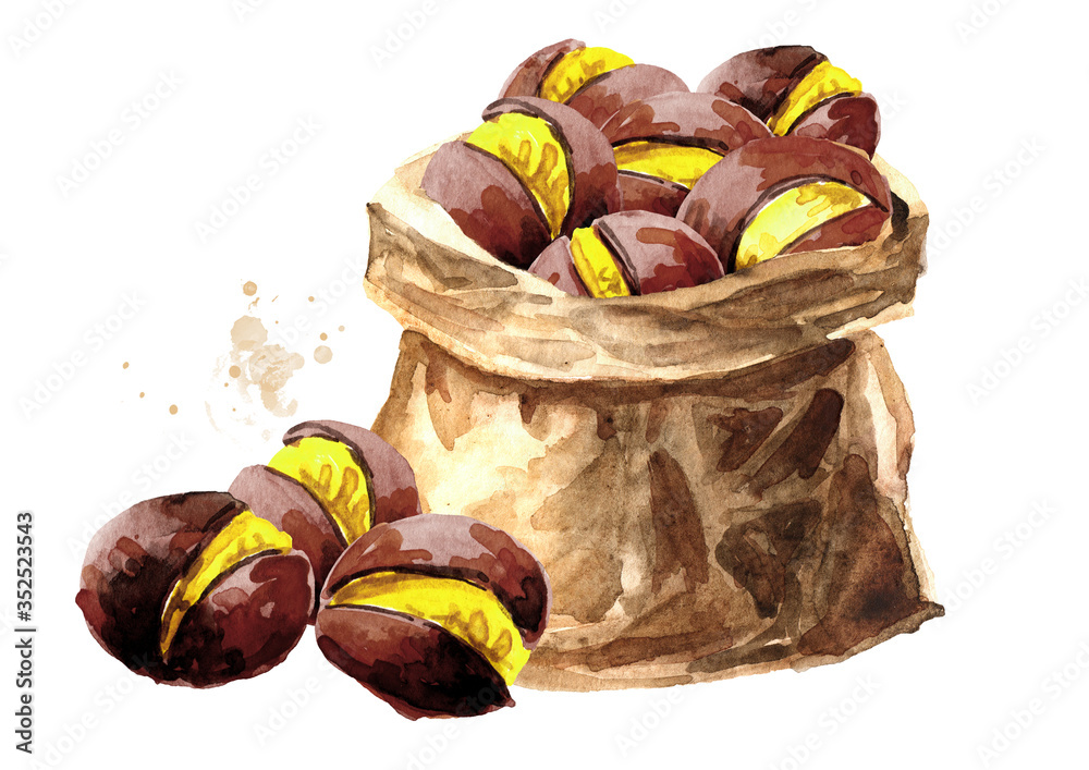 Paper sack with Roasted edible Chestnuts. Hand drawn watercolor ...