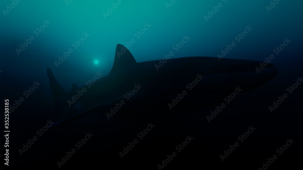 Shark in dark ocean, 3D rendered image. Illustration with copy space ...