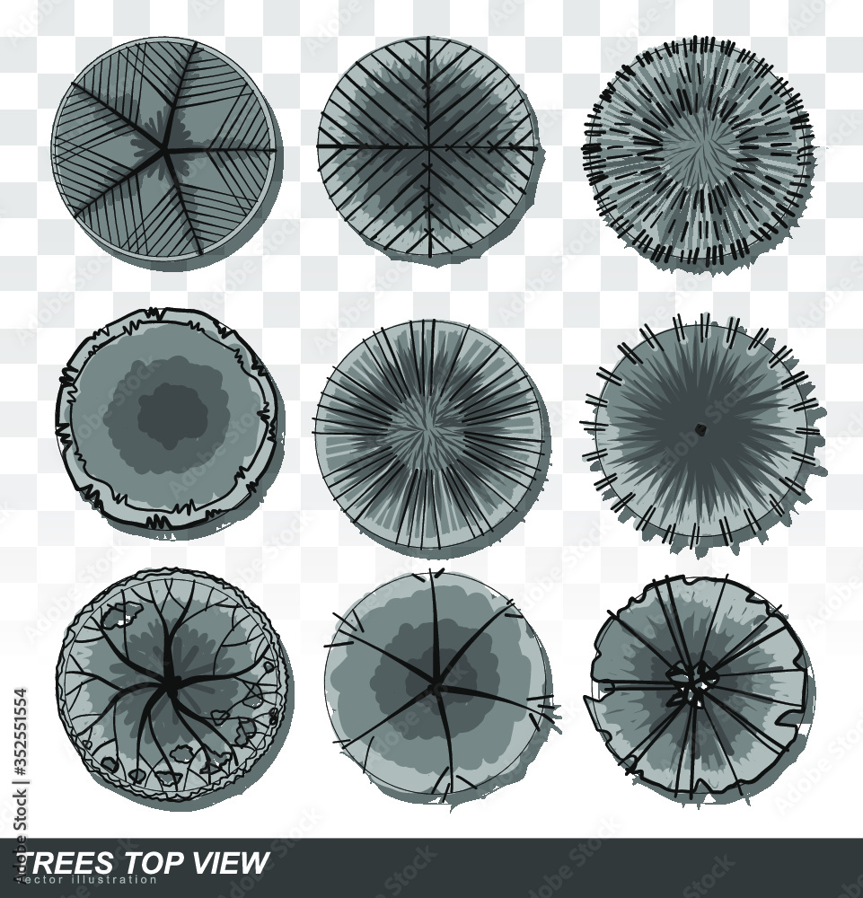 Set of Trees top view for landscape design- vector illustration Stock ...