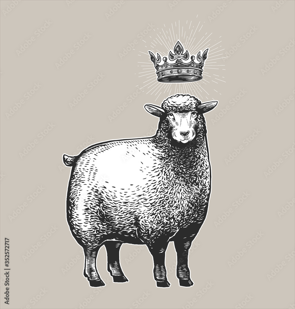 Vector Stylized Illustration of the Sheep with the crown over her head ...