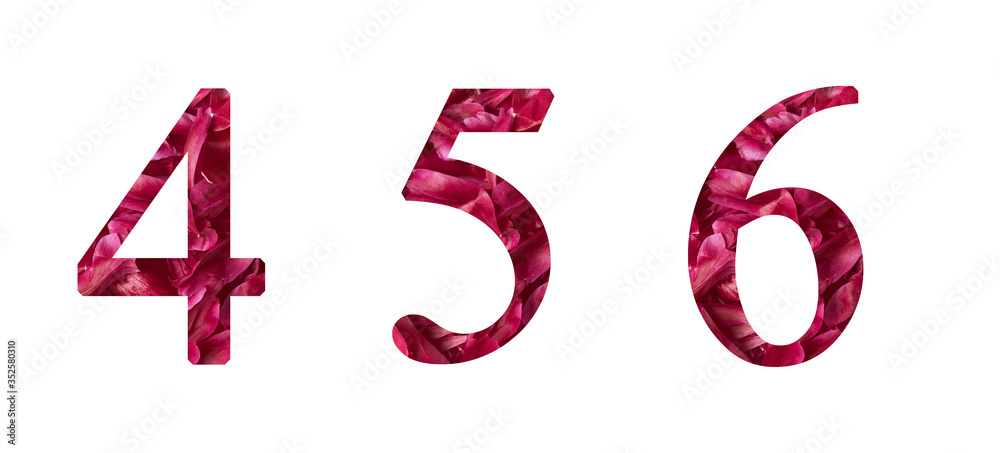 4, 5, 6 letters and numbers with pattern flowers. in the shape of ...