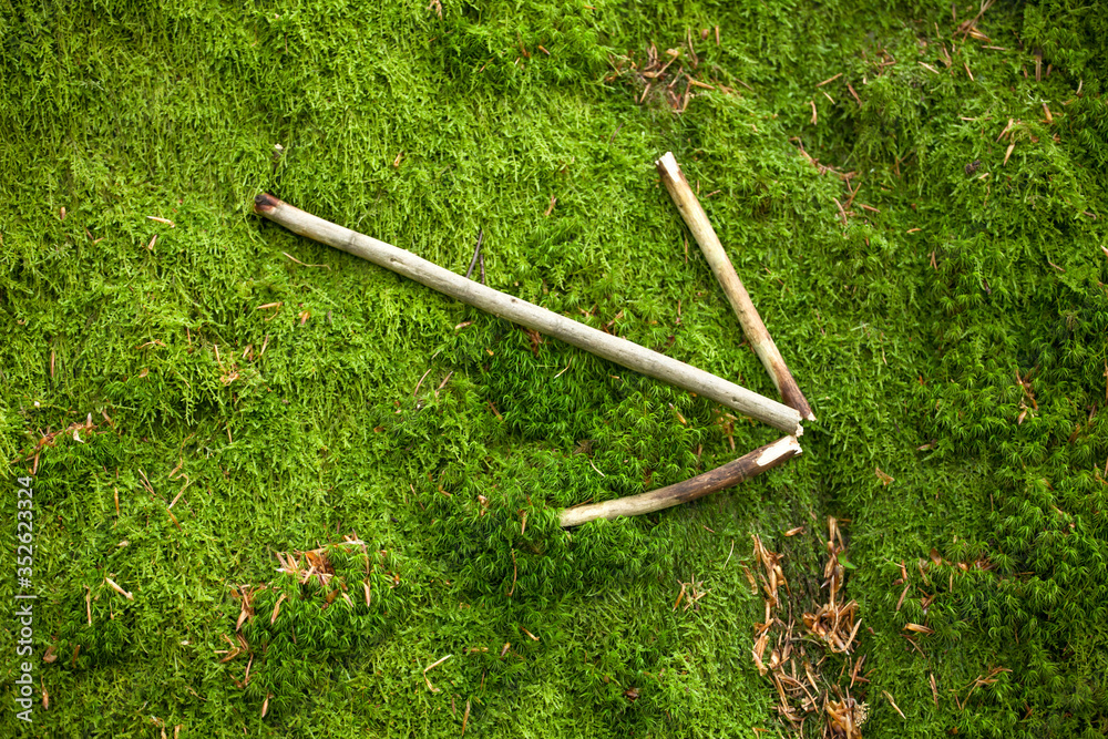 Wooden stick arrow sign at forest green mossy rock. Scavenger hunt game ...