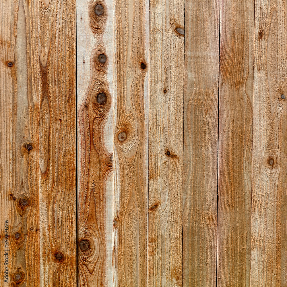 Natural Cedar wood texture for background use Stock Photo | Adobe Stock