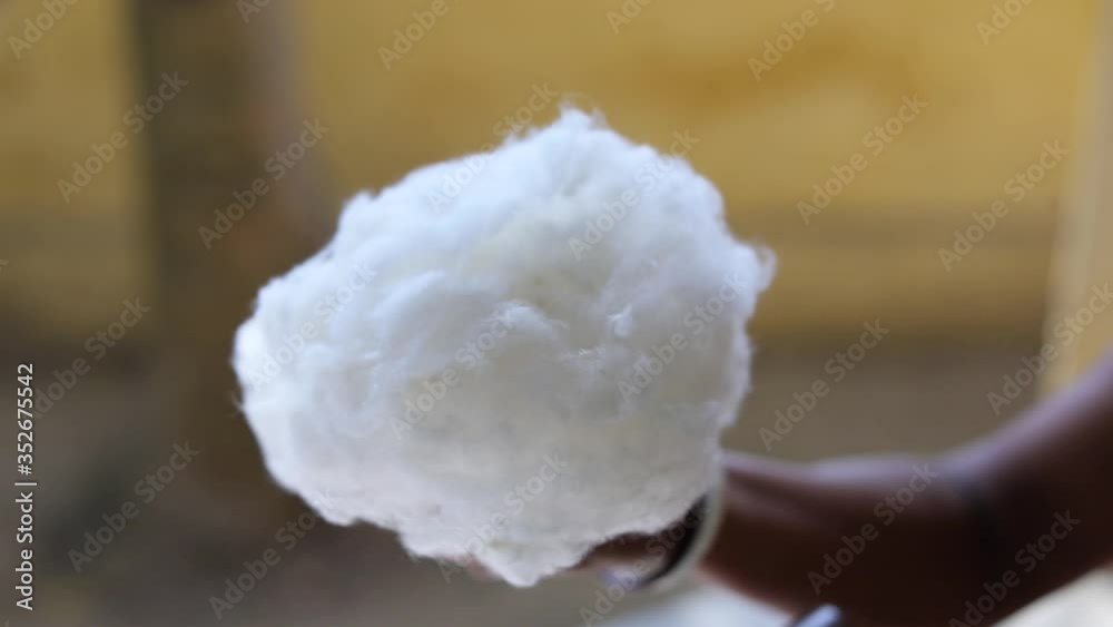 Hand holds out fluffy cotton ball in front of camera ready to be used ...