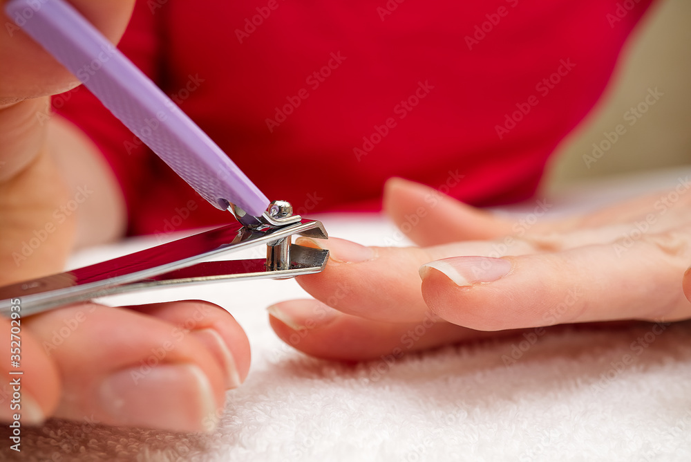 Woman Clipping Nail s with Forceps. Female cuts his nails on a white ...