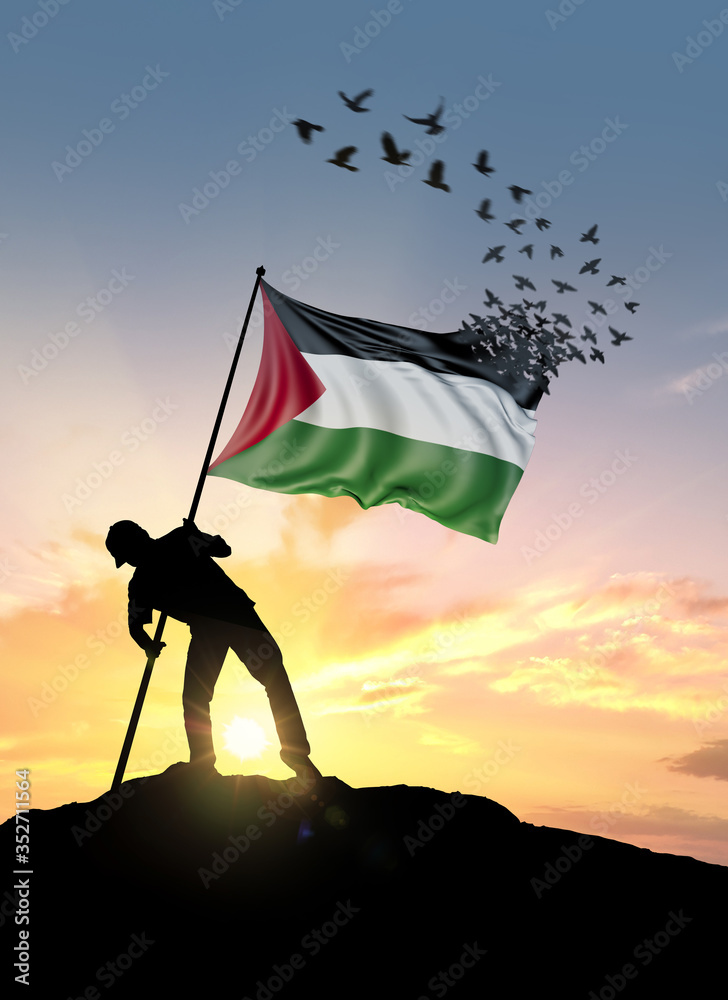 Palestine flag turn to birds while being planted by a man on a hill ...