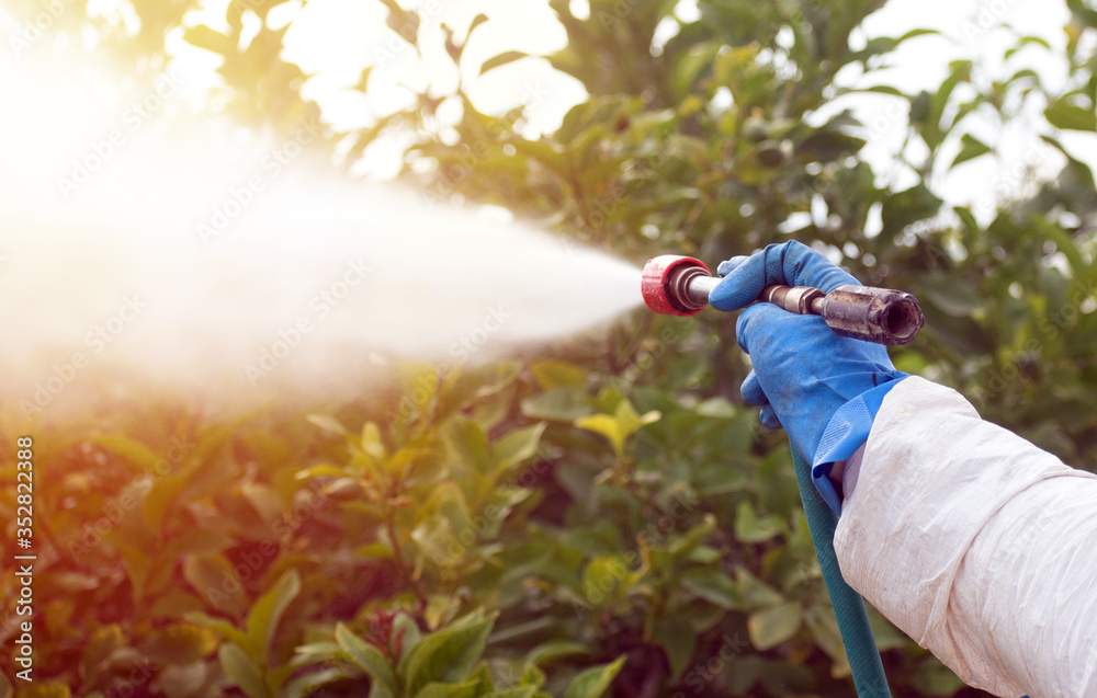 Spray ecological pesticide. Farmer fumigate in protective suit and mask ...