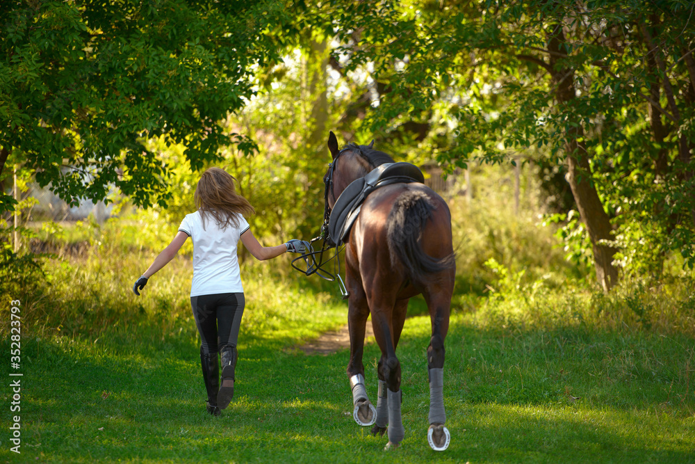Beautiful young girl rider and her horse Stock Photo | Adobe Stock