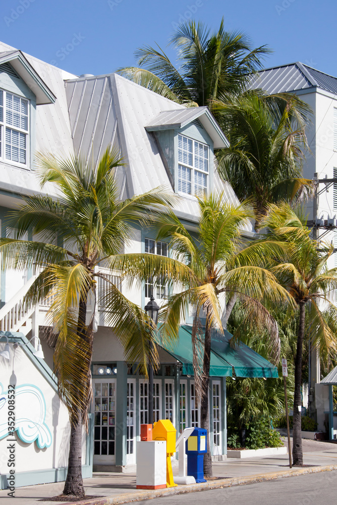 Key West Downtown Streets With Palms Stock Photo | Adobe Stock