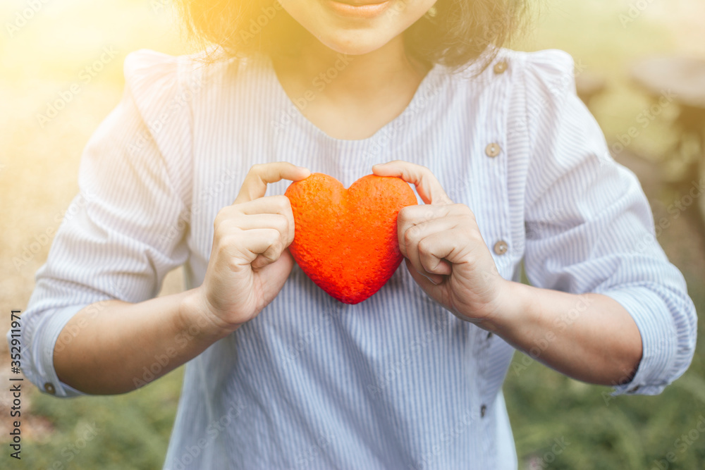 Heart in hand.A photograph of the heart in the hand Can be applied to ...