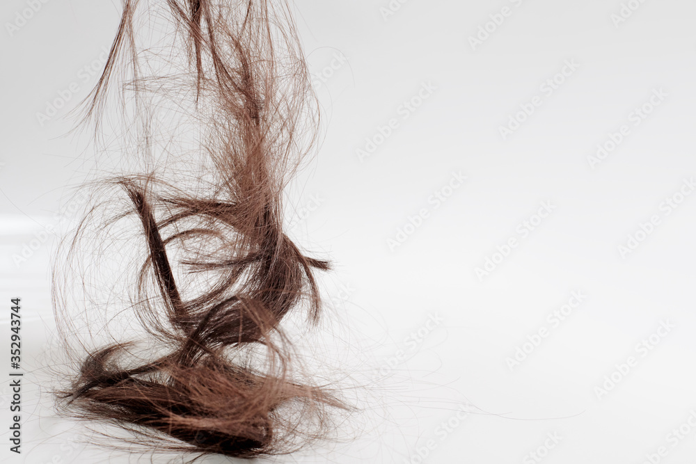 hair falls down after cutting. the cut-off brown hair falls from above ...