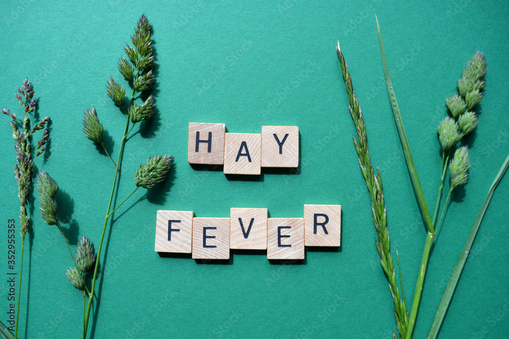 Hay Fever, words in wooden alphabet letters with fresh green grasses ...