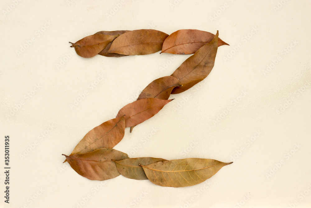 Autumn leaf letter Z Background image. Natural forest leaf alphabet ...