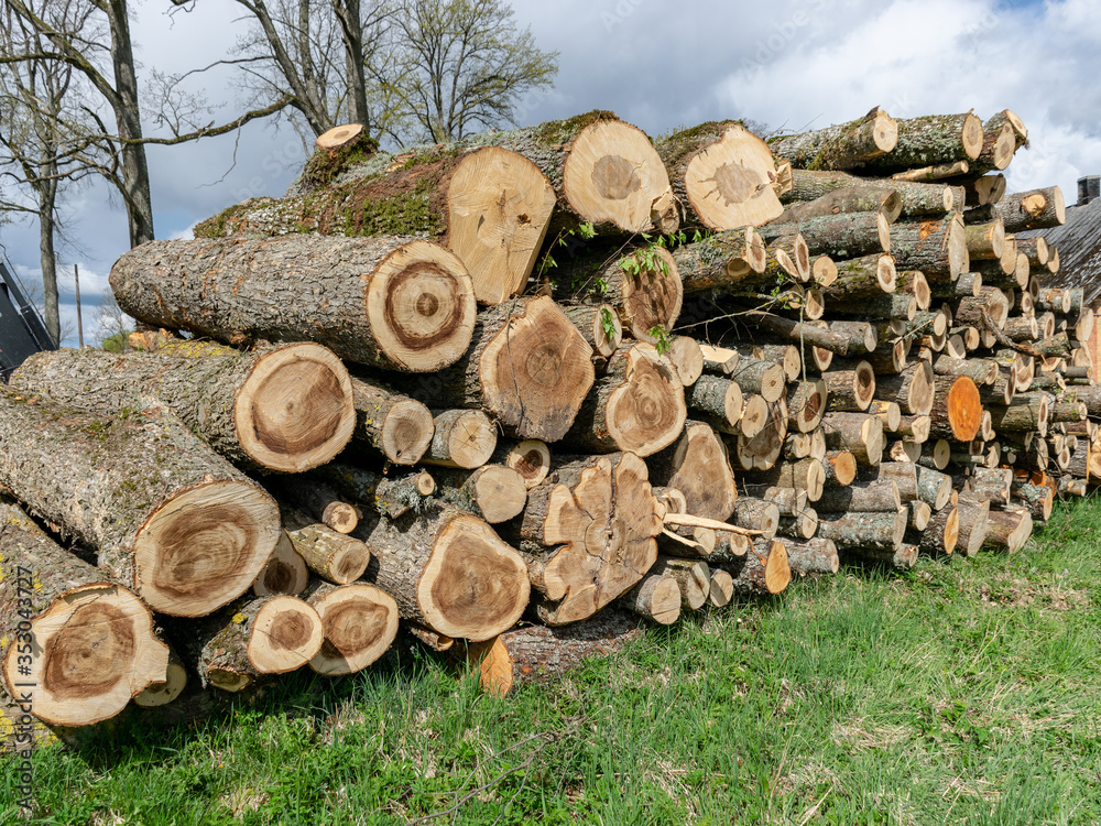 Stack of sawn logs, wood pile reserve for the winter. Pile of chopped ...