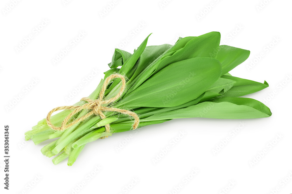 Ramson bunch vegetable isolated on white background with clipping path ...