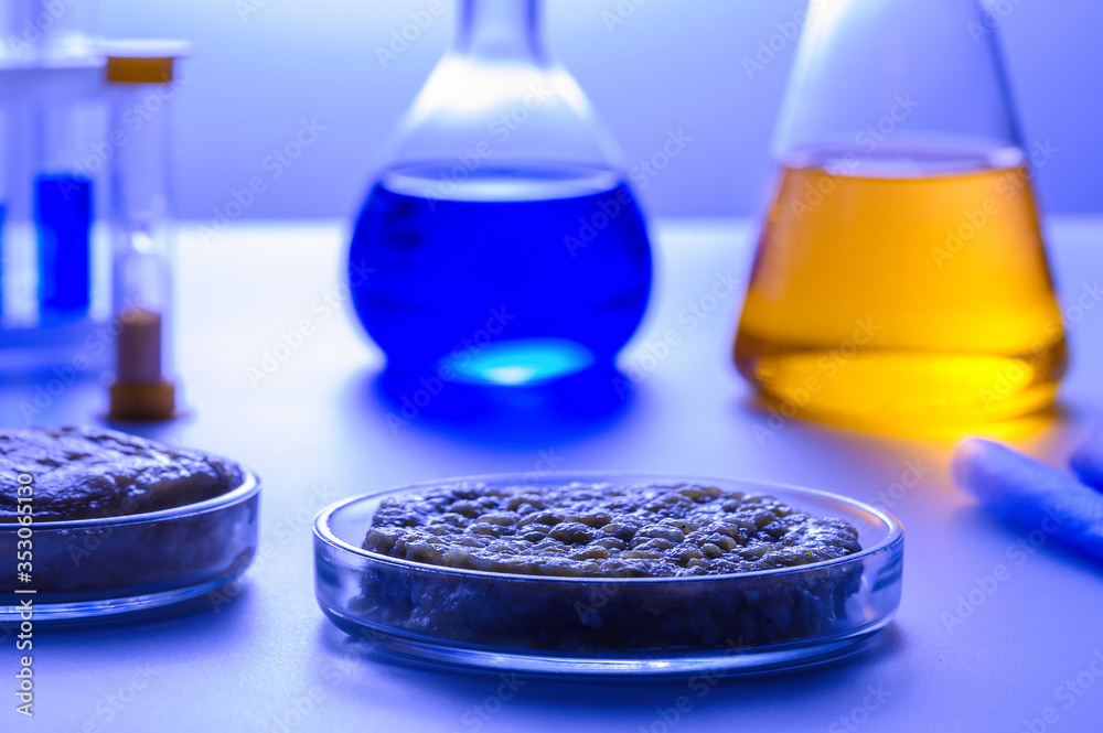 Foto de .Synthetic meat production. Checking the product for ...