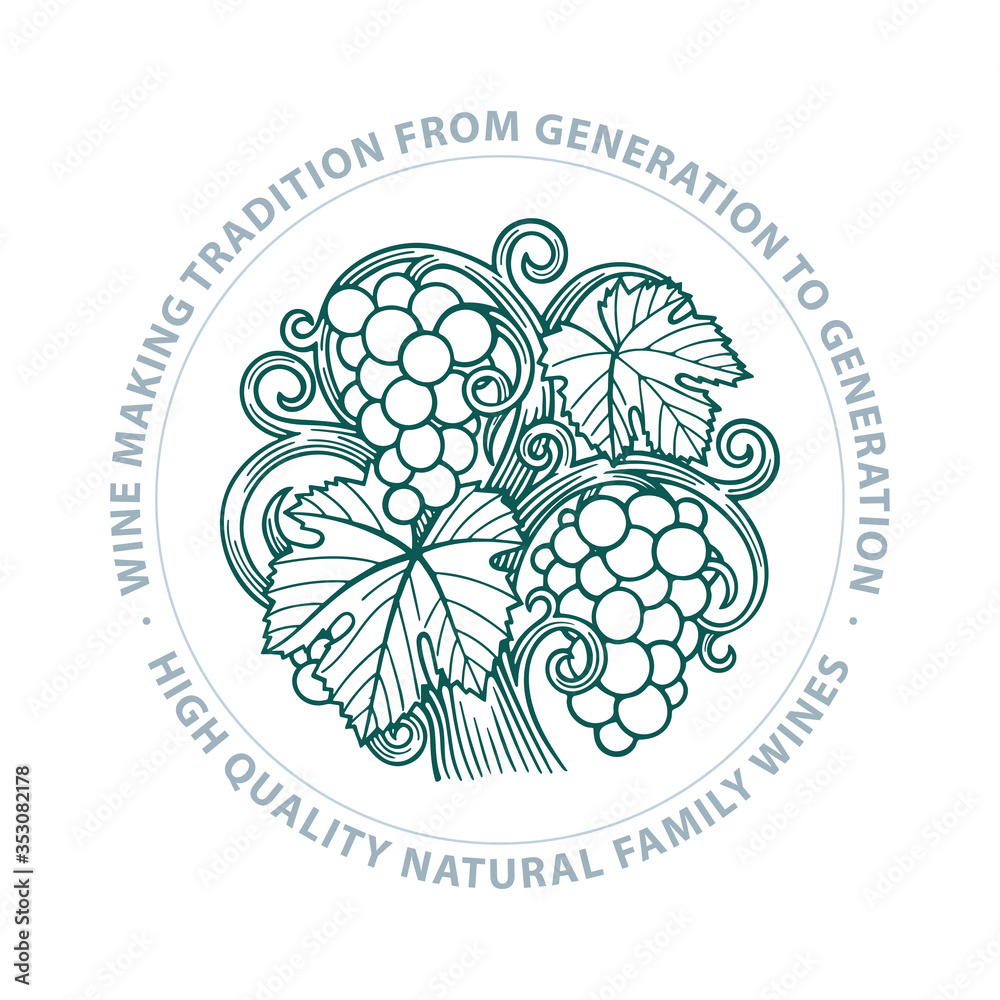 Grape. Hand drawn grape and vine engraving style illustration. Bunch of ...