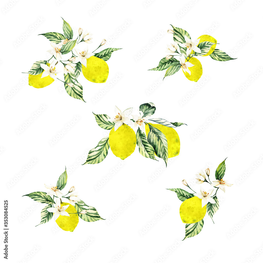 Watercolor lemon bouquets for citrus wedding invitation clipart. Hand ...