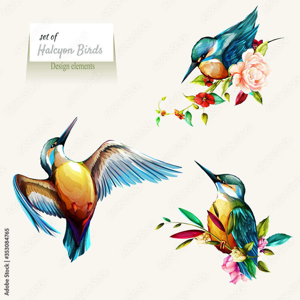 Halcyon on branches with leaves. Set of three birds isolated on white ...