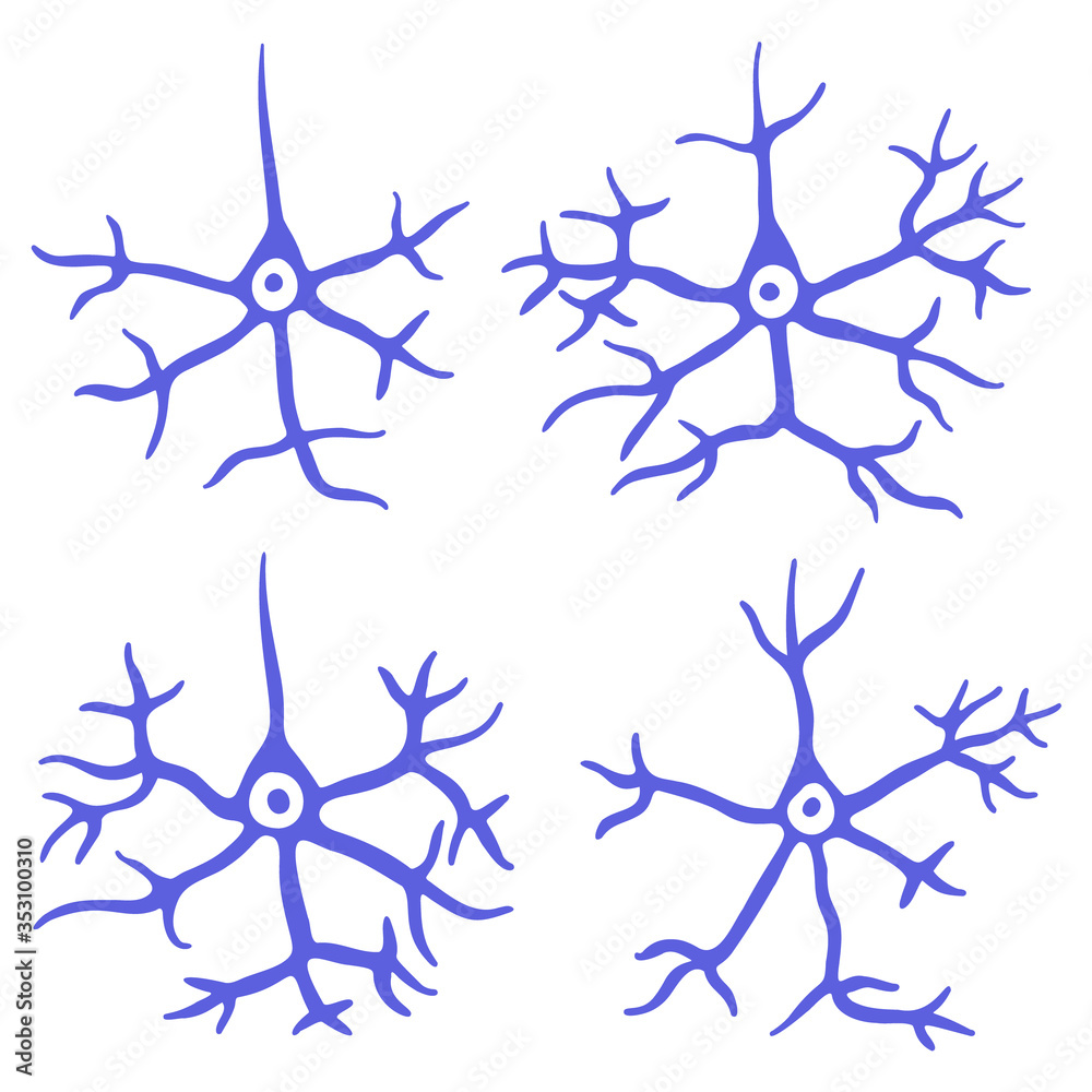 Hand-drawn neurons. Neuron cells. Simplified illustration of pyramidal ...