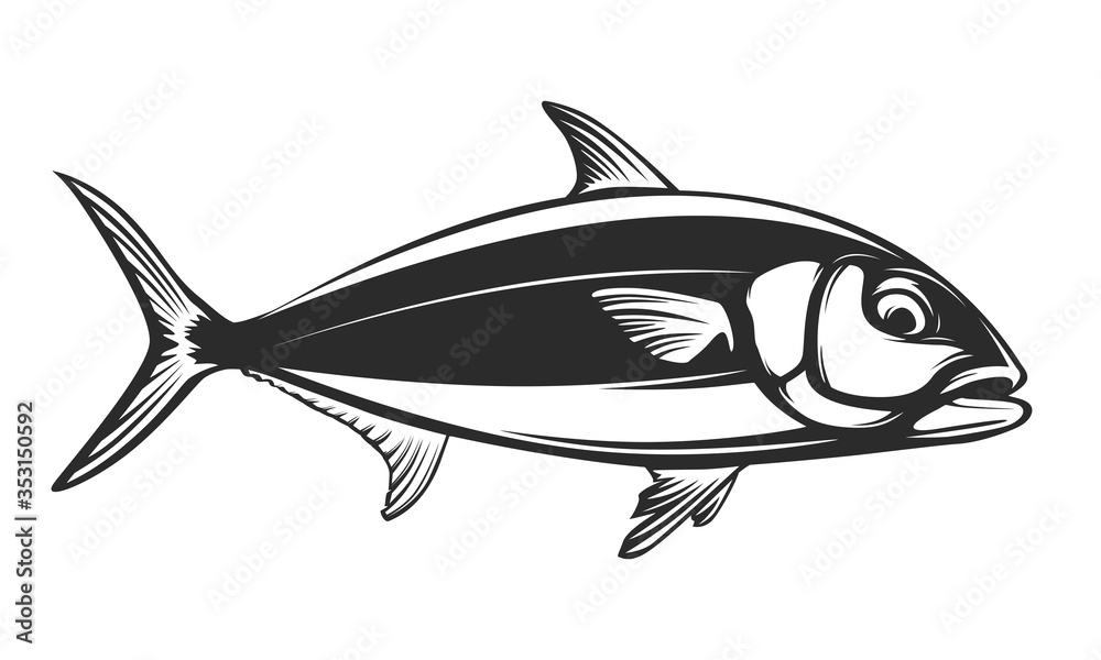 Amberjack fishing logo. Almaco jack fish club emblem. Fishing theme ...