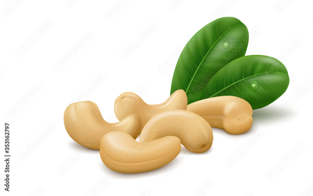 Cashews Clipart