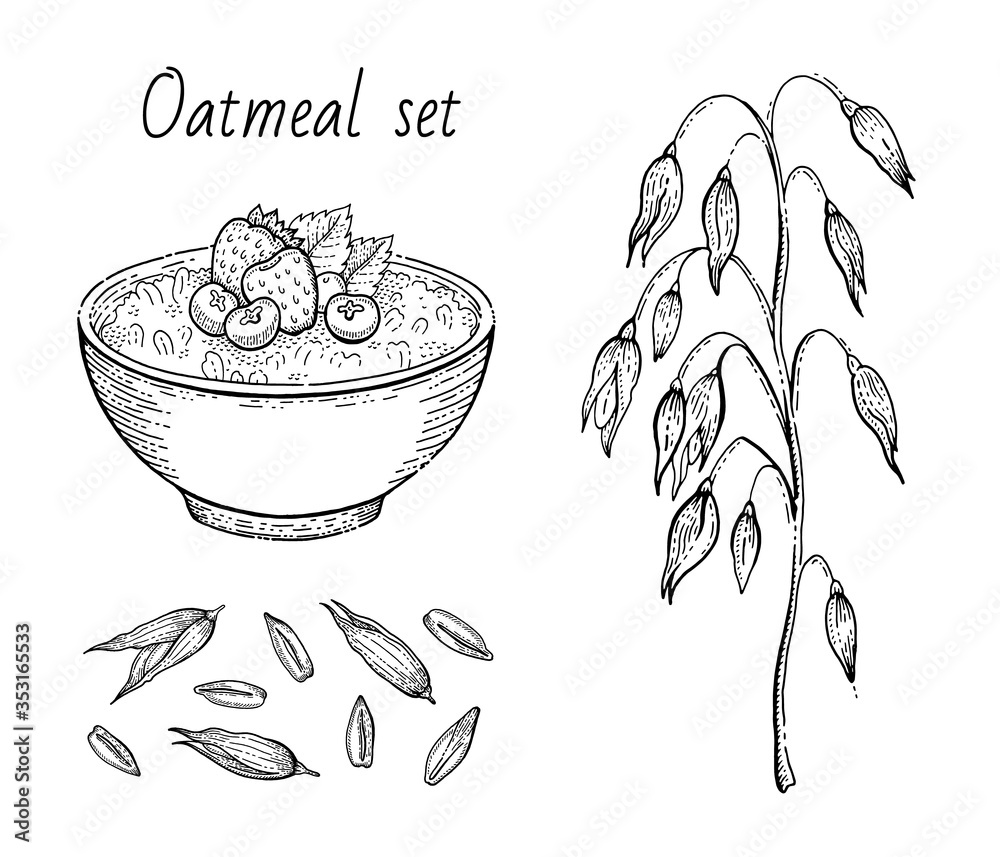 Oats sketch. Oatmeal porridge bowl with milk, fruit, oat ear, grain ...