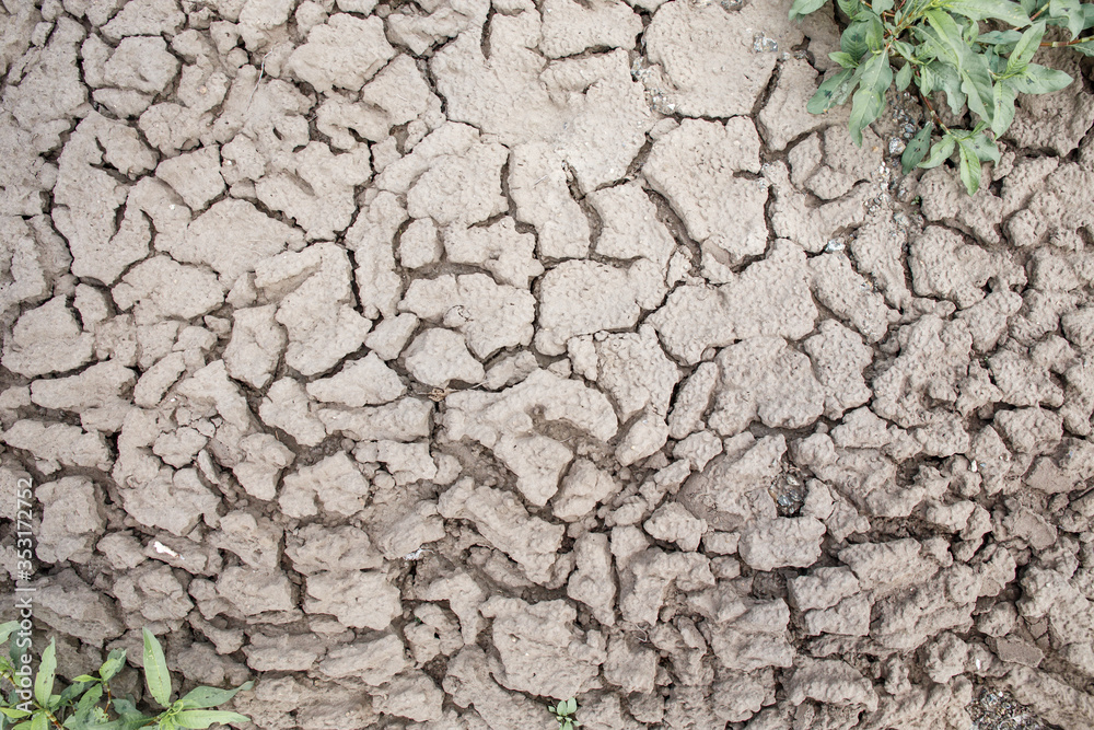 Cracked earth soil ground texture background. Mosaic pattern of dried ...