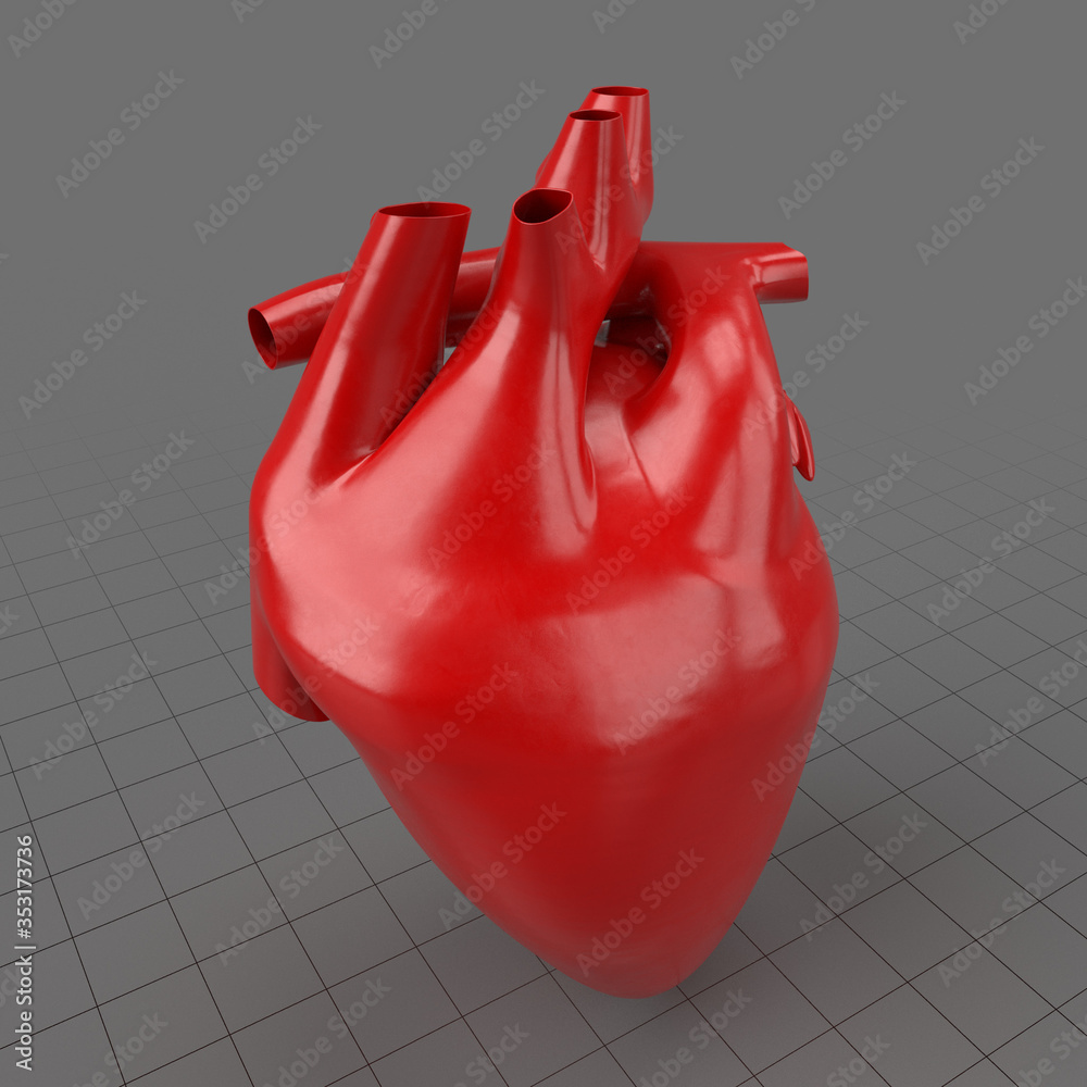 Human heart Stock 3D asset | Adobe Stock