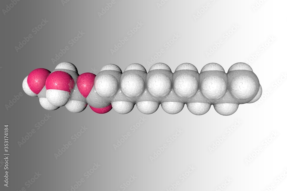 Molecular structure of monolaurin. Atoms are represented as spheres ...