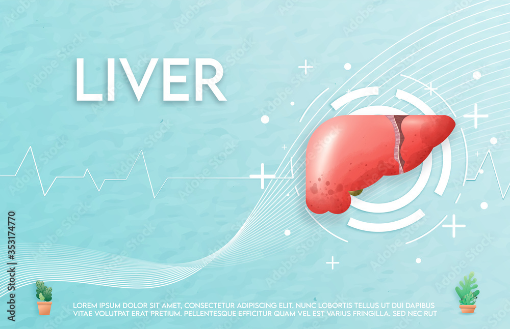 Human liver and treatment watercolor style. A concept hospital for ...