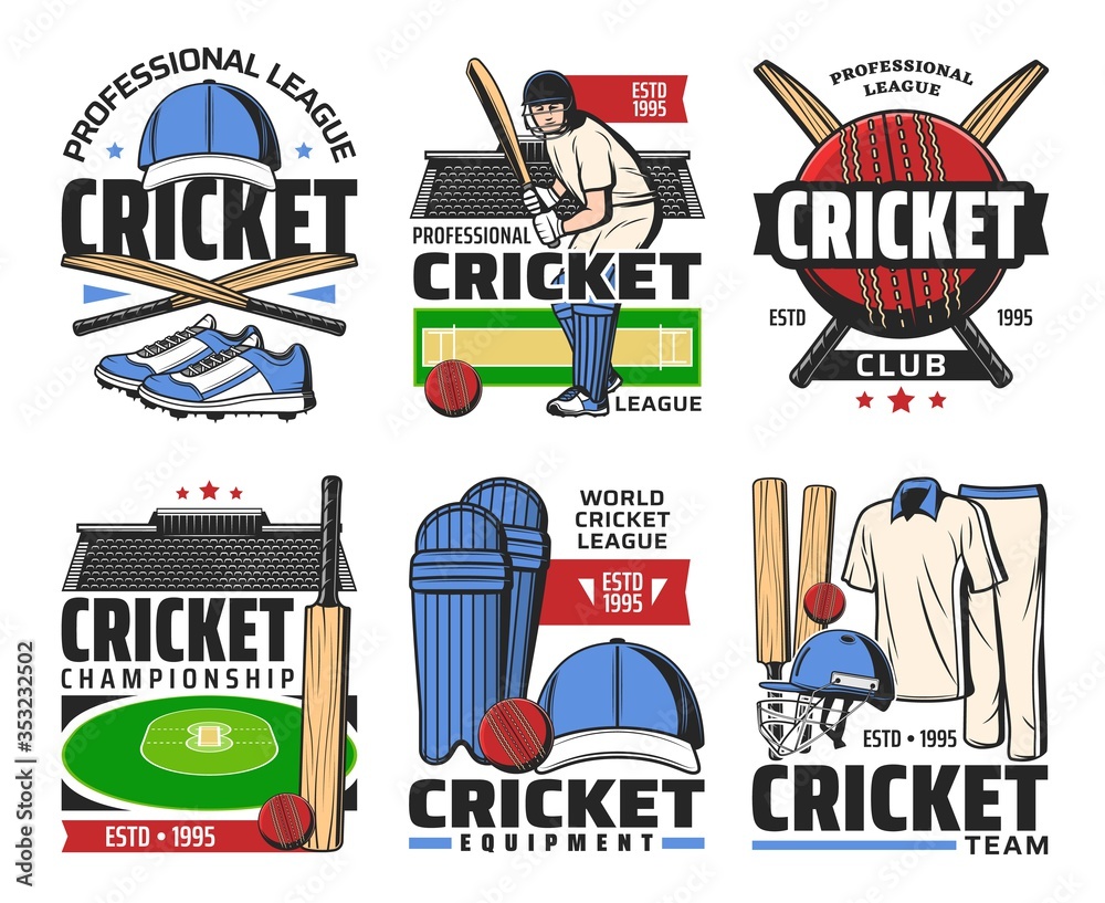 Cricket sport icons with vector game balls, bats, stadium play fields ...