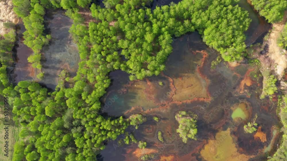 Beautiful toxic lake in the middle of a green forest. Industrial plant ...