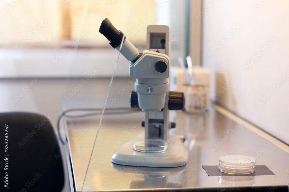 Stereo microscope inside a laminar flow cabinet used to tissue culture ...