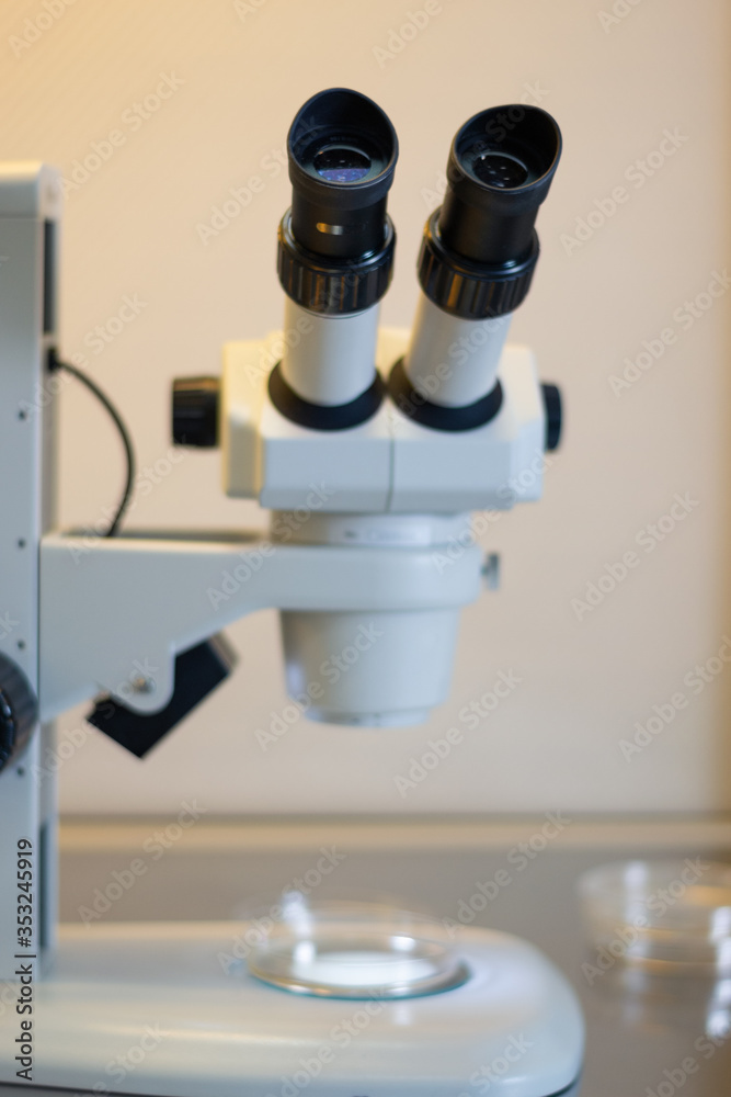 Stereo microscope inside a laminar flow cabinet used to tissue culture ...
