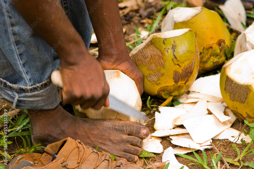 Zanzibar Tanzania 14/08/2010: Processing and opening of the coconut ...