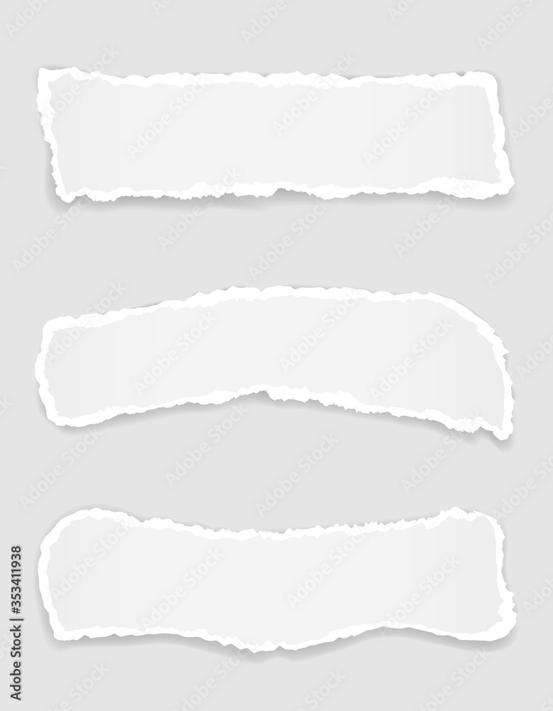 torn paper edge for design with transparent space template vector ...