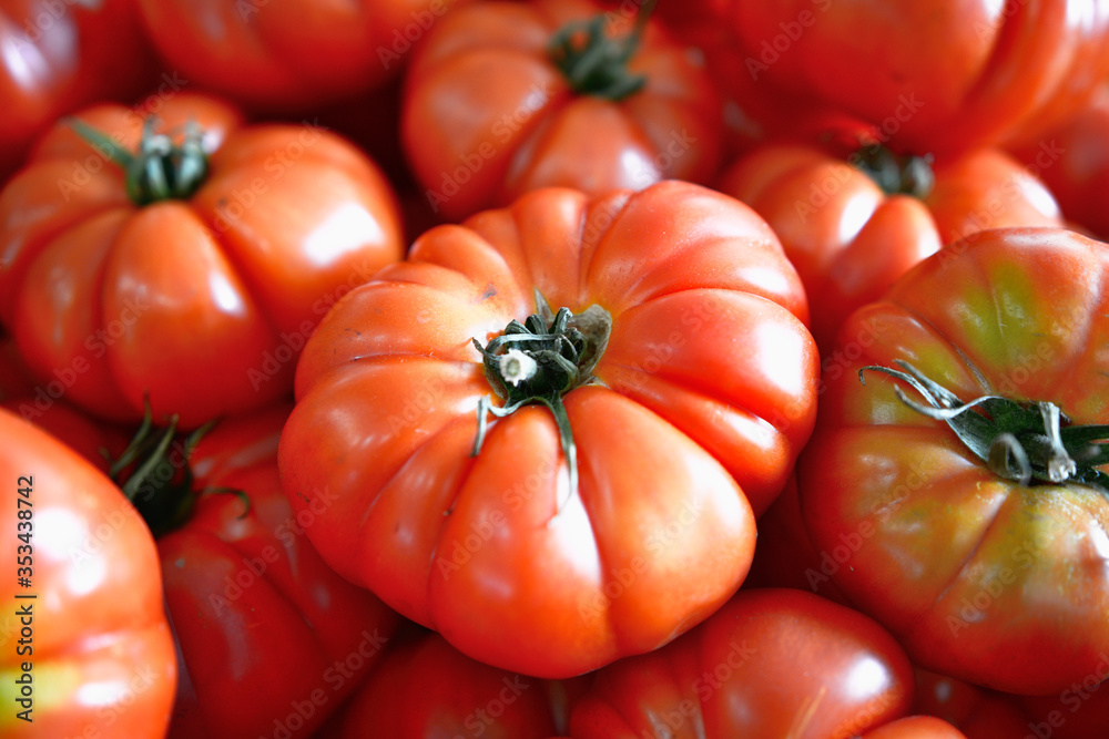 The tomato is the edible, often red berry-type fruit of the nightshade ...