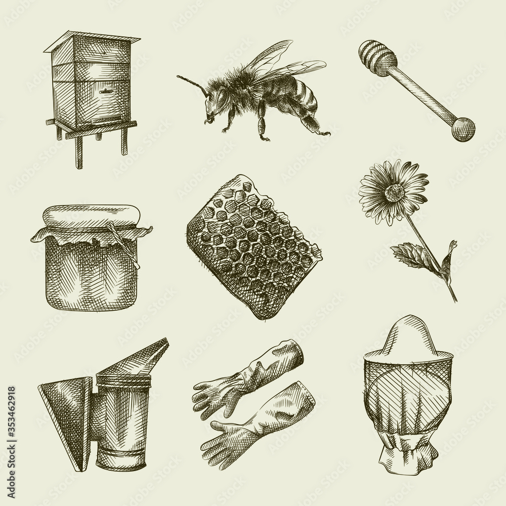 Hand-drawn sketch beekeeping tools. Set includes beehive, bee, wasp ...