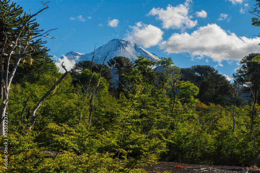 Parque nacional Conguillio Sur De Chile región de la araucanía ...