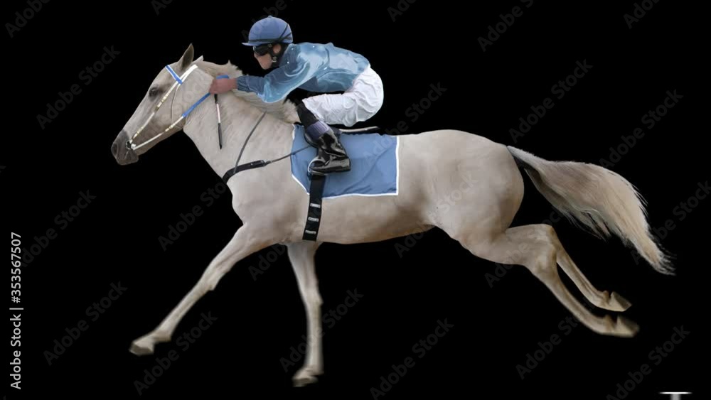 Jockey riding a white horse running gallop. Isolated video including ...