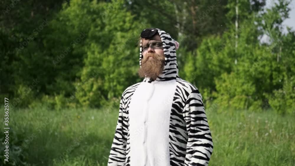 Crazy people, man in a Zebra costume, bright emotion,kigurumi, funny ...